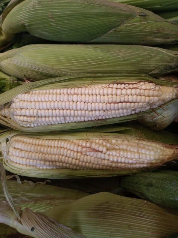 Pieza de Elote en 4 Partes – Mercadeale